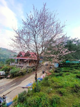 Tabakoshi-Rai Homestay,Riverside Tea Village near Mirik - The Weekender