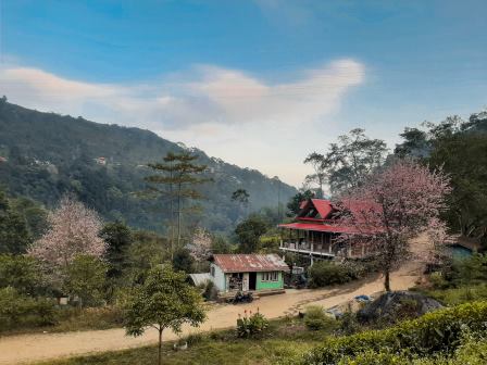 Tabakoshi-Rai Homestay,Riverside Tea Village near Mirik - The Weekender