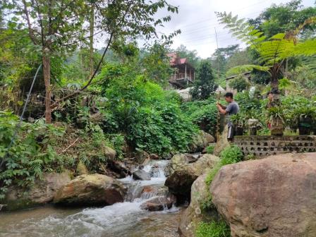 Tabakoshi-Rai Homestay,Riverside Tea Village near Mirik - The Weekender