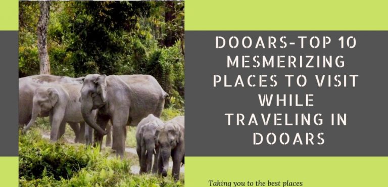 Dooars Tourism-Top 10 Mesmerizing Places to Visit - The Weekender